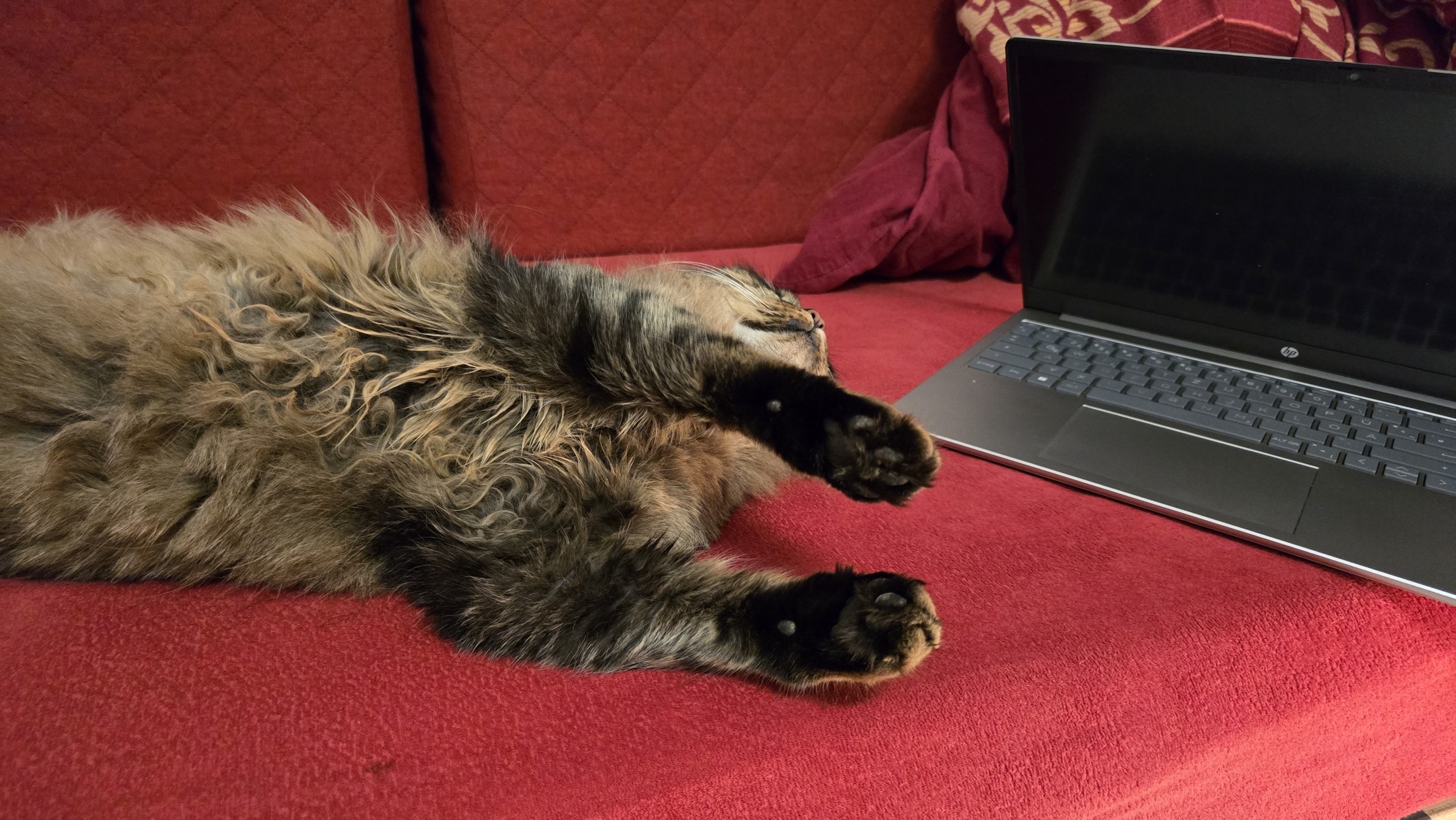 Ich, wenn ich dran denke,… | Thorja von Thardor - Independent Escort Wien